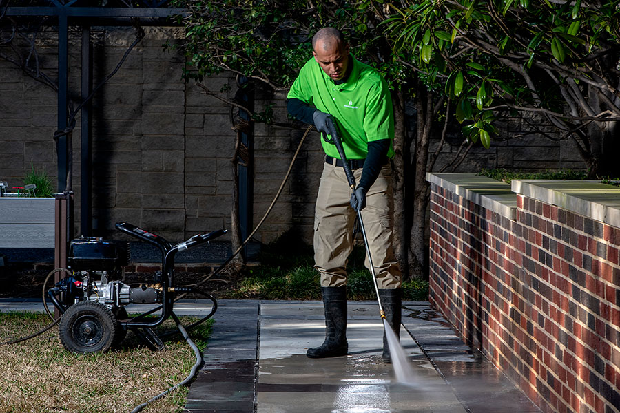 Clean LP - Green Army