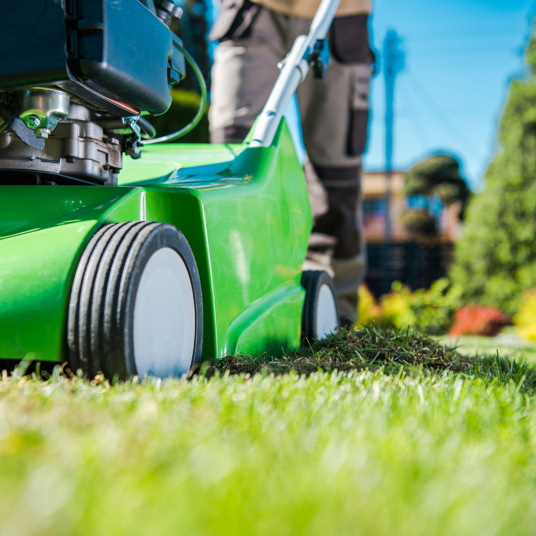 Why Lawn Care Maintenance is Important - Green Army