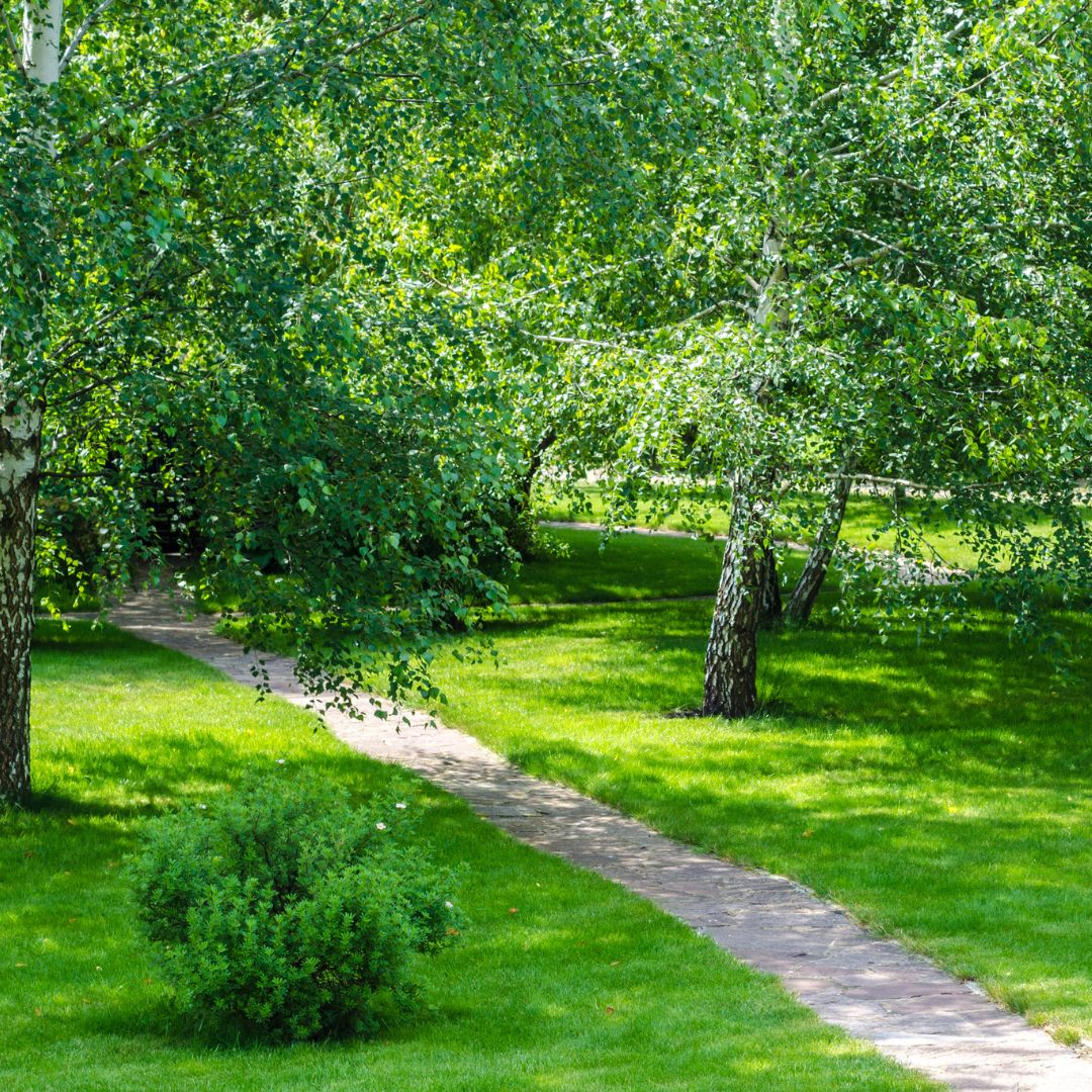 Green Army: Transforming Yard Care for Healthier Homes and Communities ...