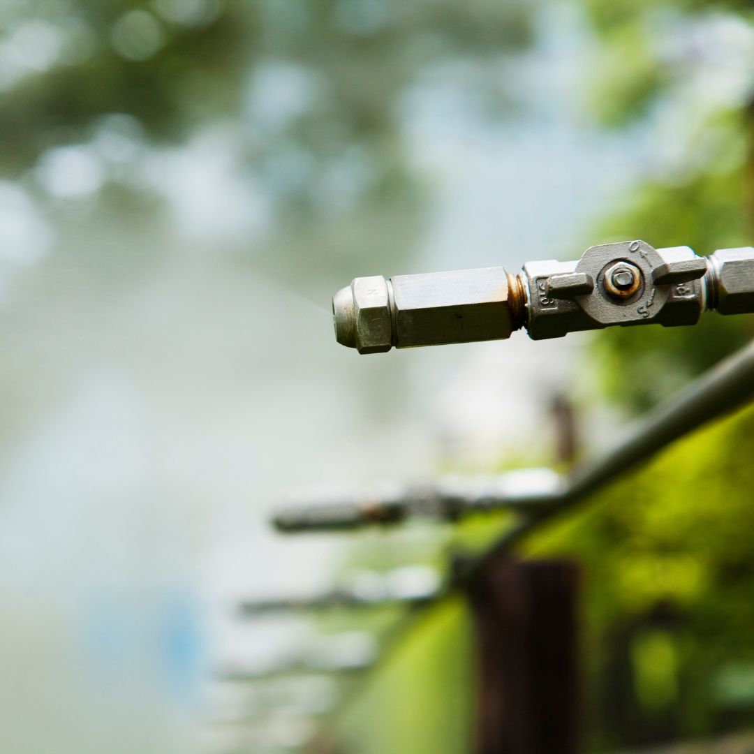 Mastering Mosquito Control: Strategies, Repellents, and Natural ...