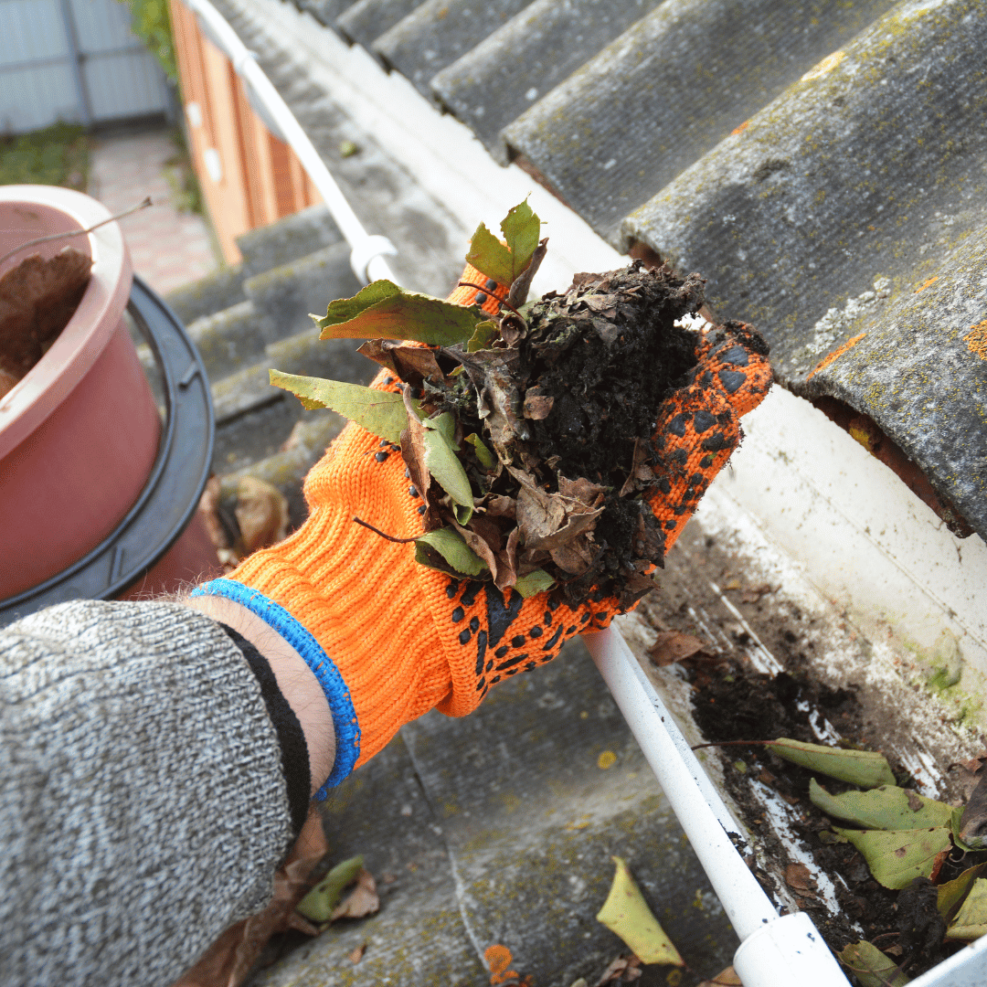 How to Clean Your Gutters: A Step-by-Step Guide for Homeowners - Green Army